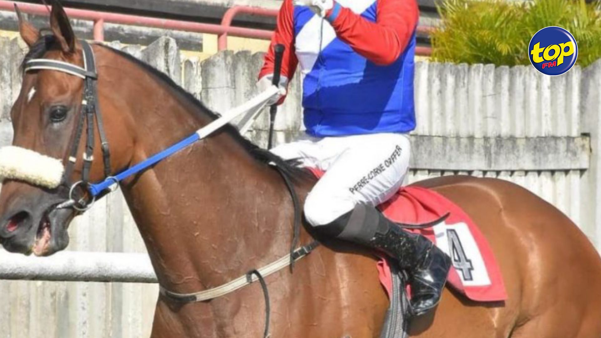Maiden Cup 2021 : Alshibaa vise le doublé classique | TOP FM Mauritius