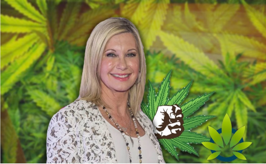 Olivia Newton-John, actrice et chanteuse qui était sous cannabis ...