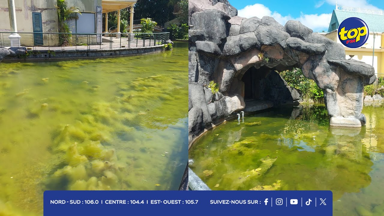 À Curepipe : L’accumulation de goémon au Lakepoint attribuée à une ...